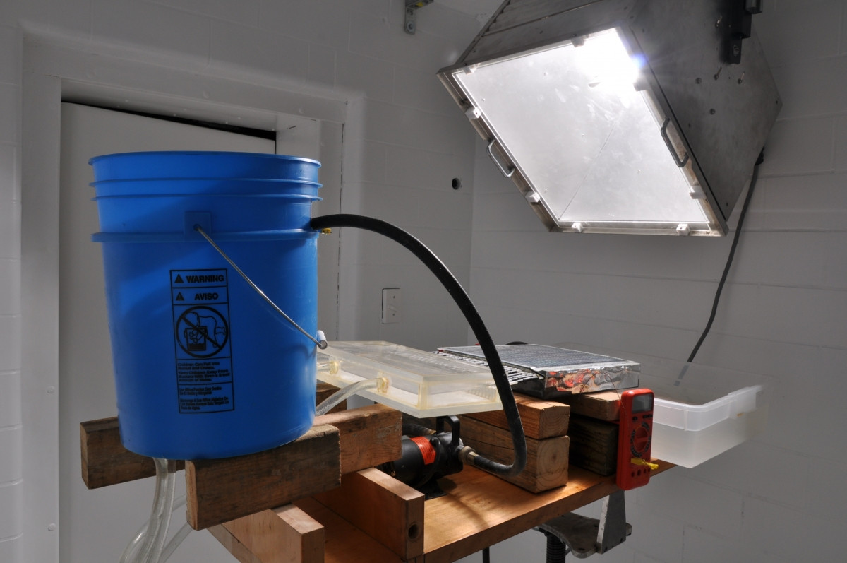 Environmental Testing & Aging | Robert A. W. Carleton Strength of ...